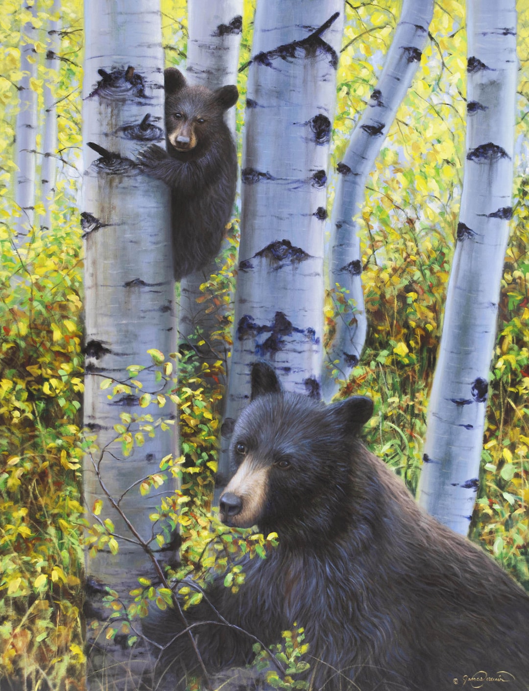 Black Bears in Fall Aspen Trees Wildlife Art - Giclee Canvas Print ...