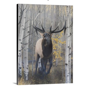 Majestic Elk Painting in Aspen Trees - A Limited Edition Canvas Print ...