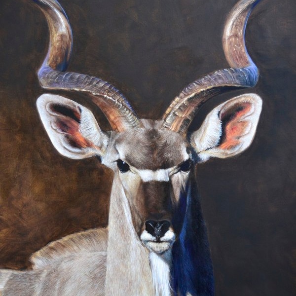 Kudu - Etsy