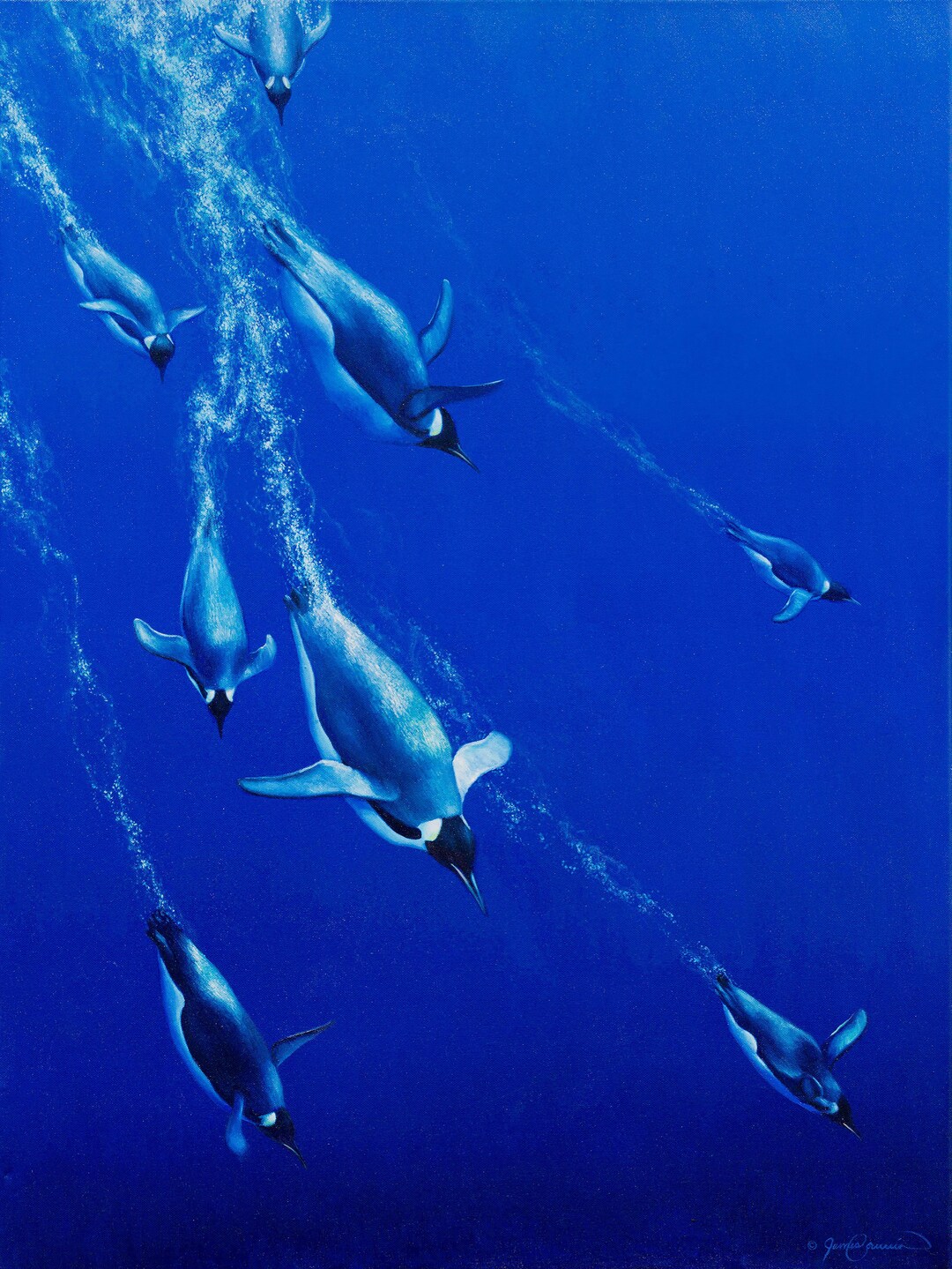 Blue Angels - Limited Edition Diving Emperor Penguins Wildlife Art ...