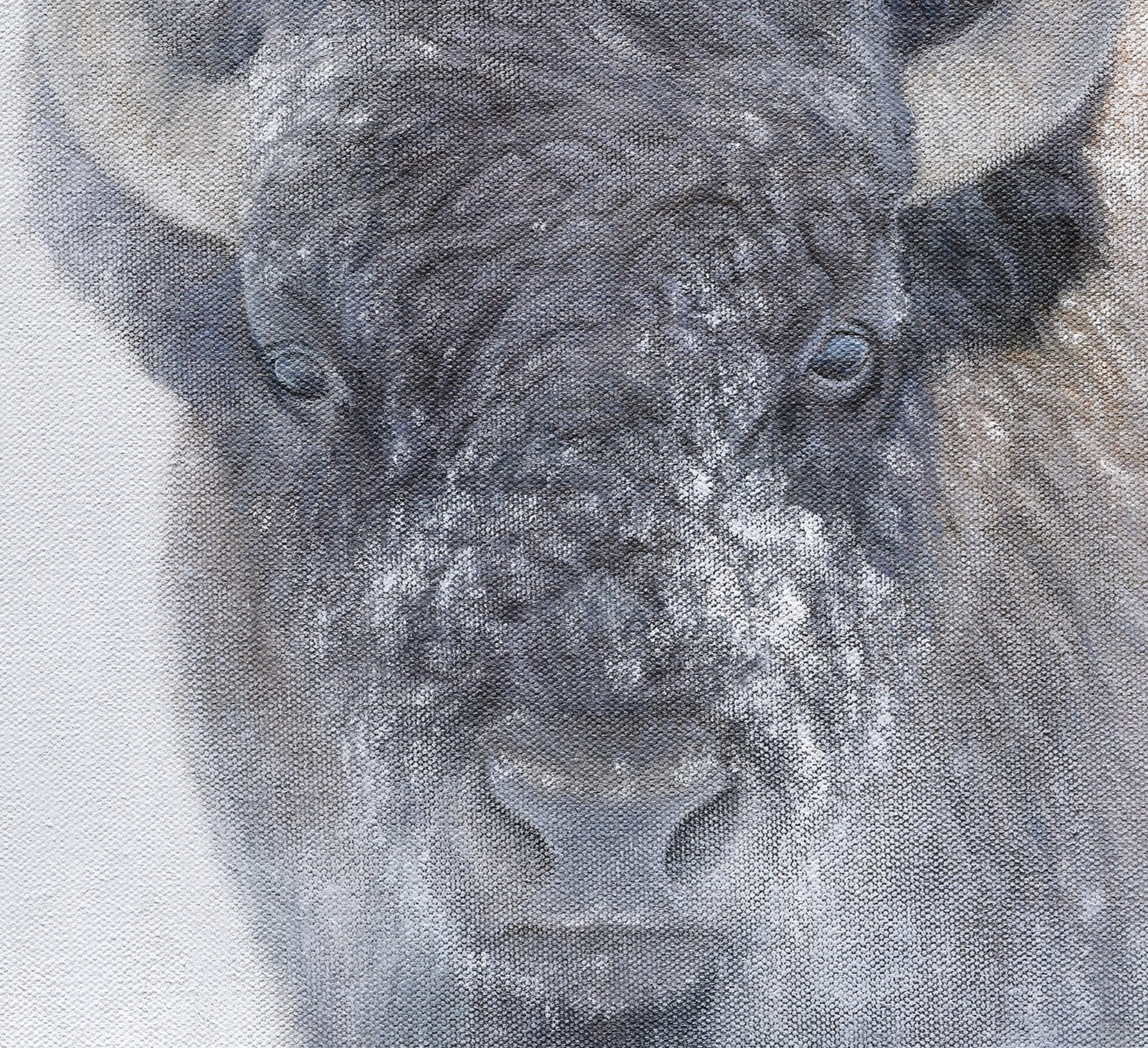 Beautiful Bison Buffalo in Yellowstone Art - Limited Edition Giclee ...