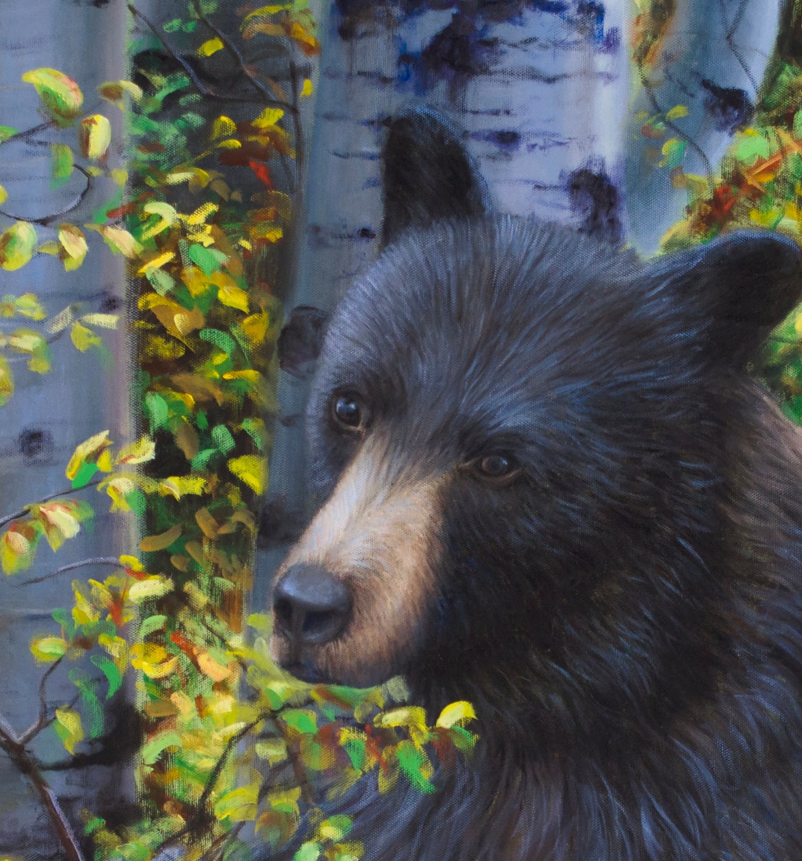 Black Bears in Fall Aspen Trees Wildlife Art - Giclee Canvas Print ...
