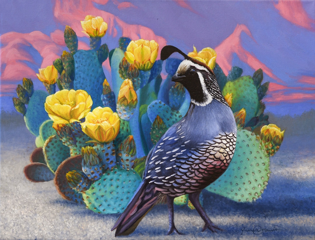 California Quail and Prickly Pear Cactus Print on Canvas - Desert ...