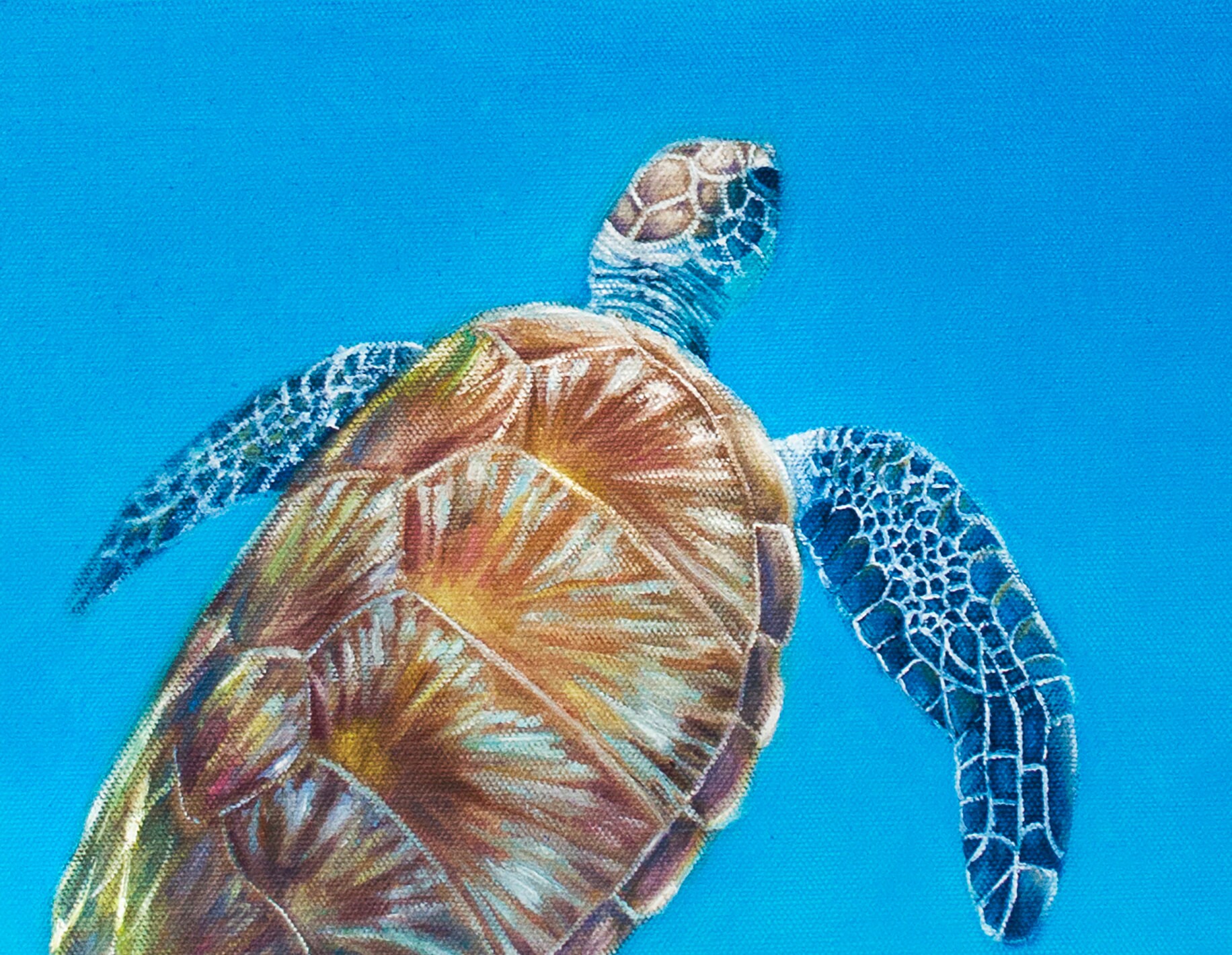 Sea Jewel - Limited Edition Hawaiian Sea Turtle Wildlife Art - Giclee ...