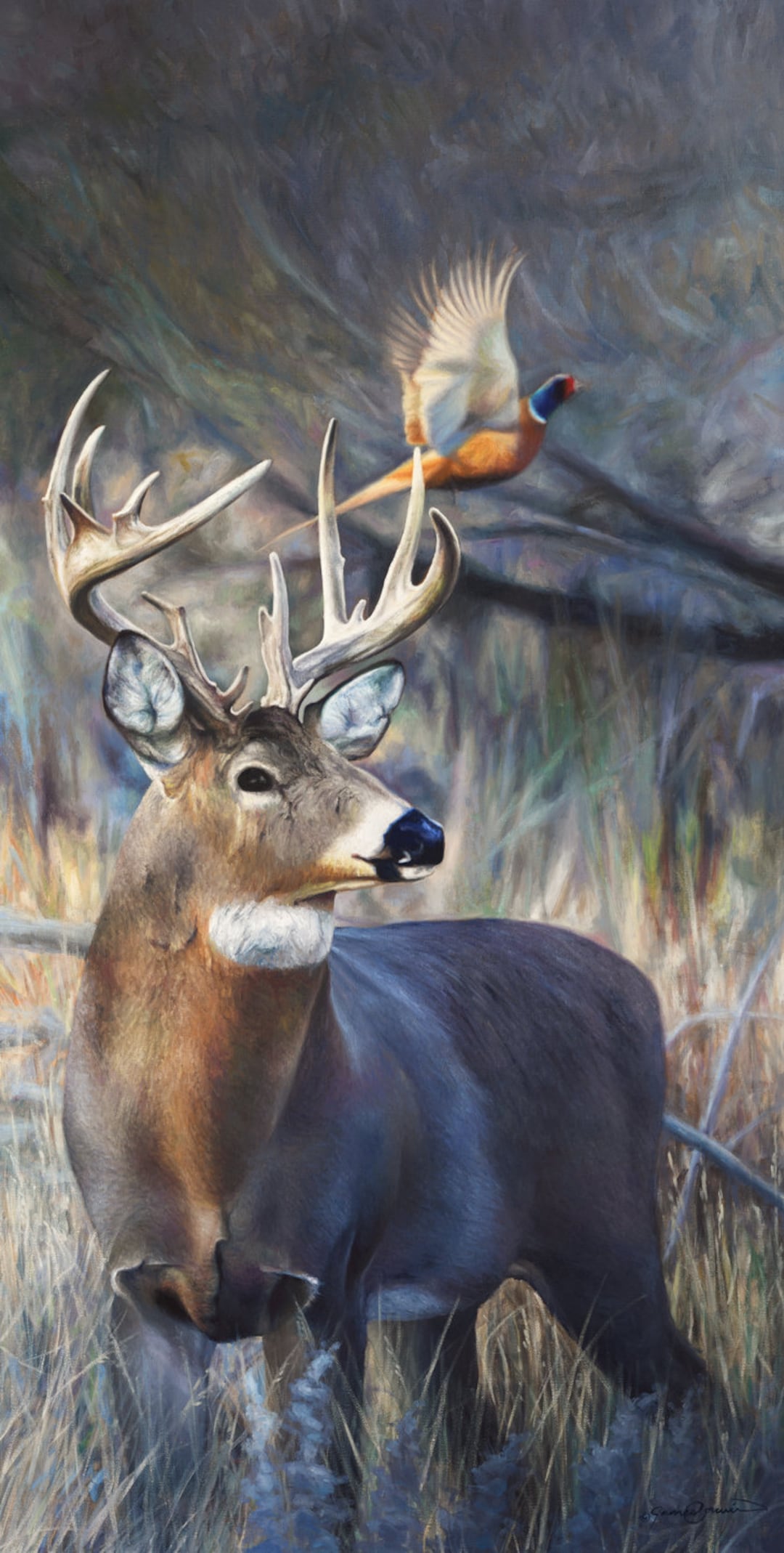 Beautiful Nature Whitetail Deer Art - Wildlife Painting - Western Decor ...