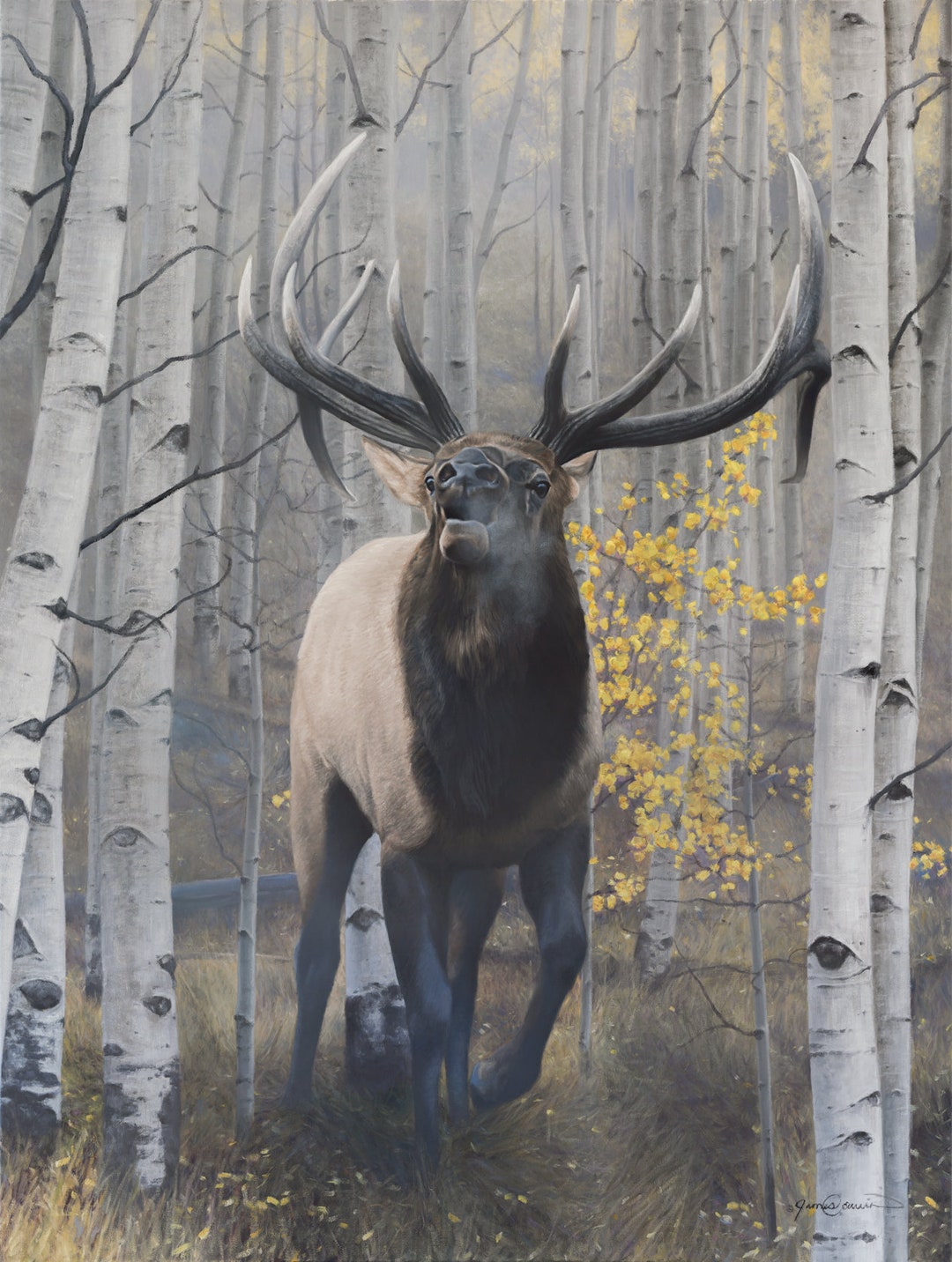 Majestic Elk Painting in Aspen Trees - A Limited Edition Canvas Print ...
