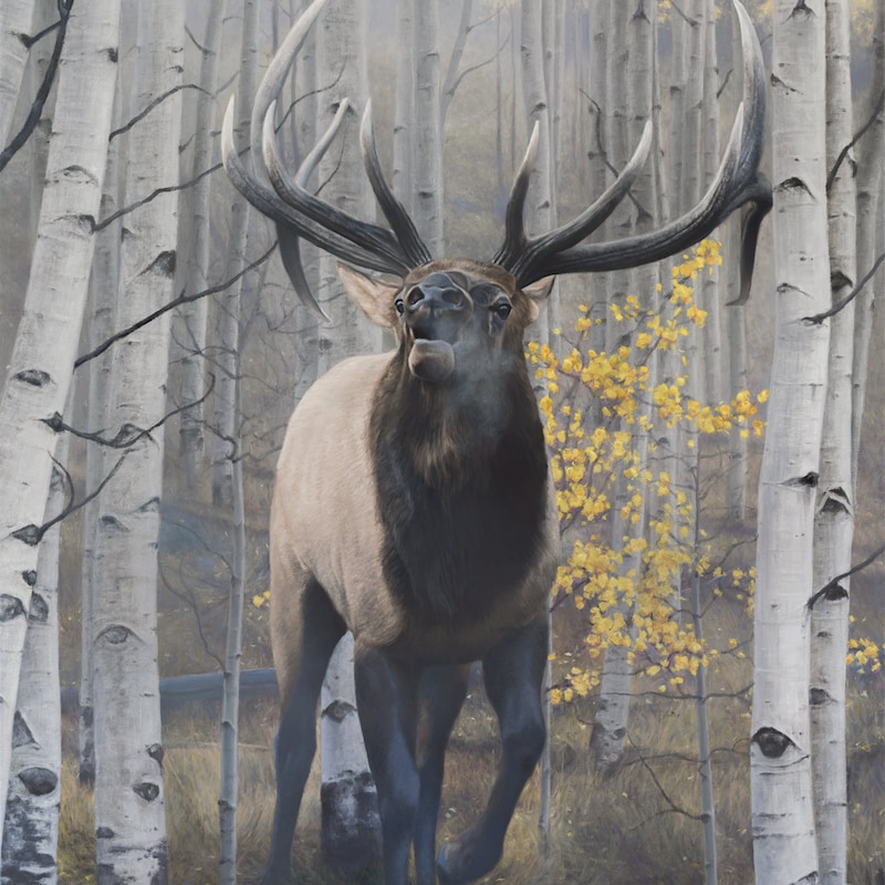 Elk Paintings - Etsy