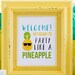 Pineapple Welcome Sign, Pineapple Party, Summer Party Decor, Pineapple ...