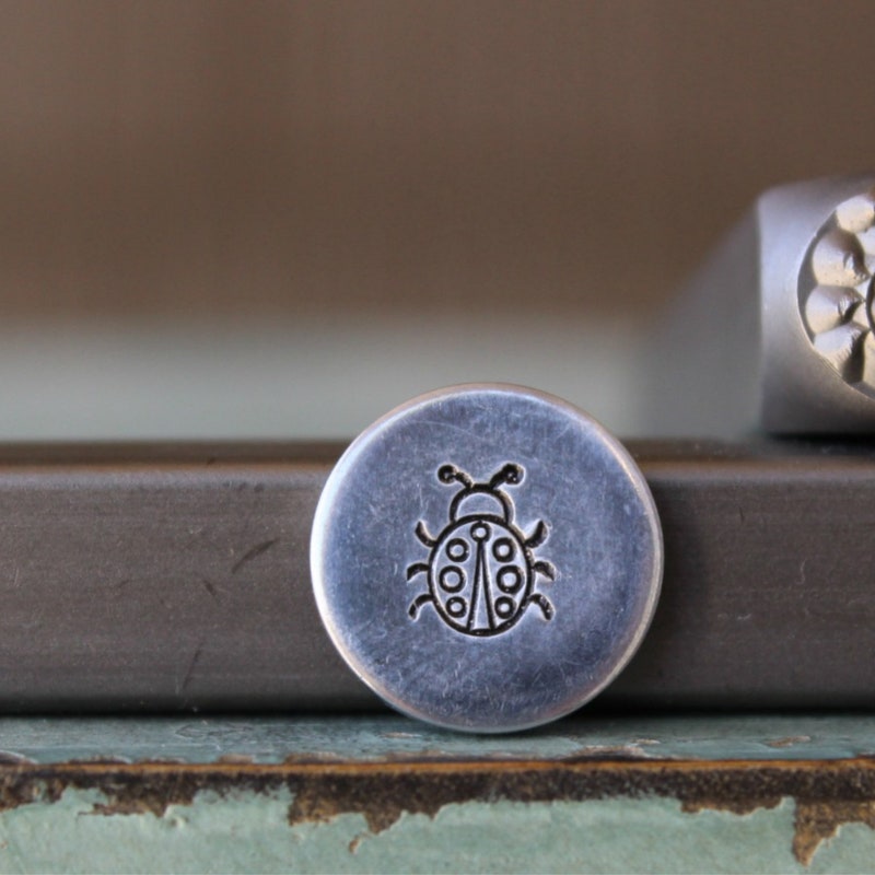 Ladybug Tool - Etsy