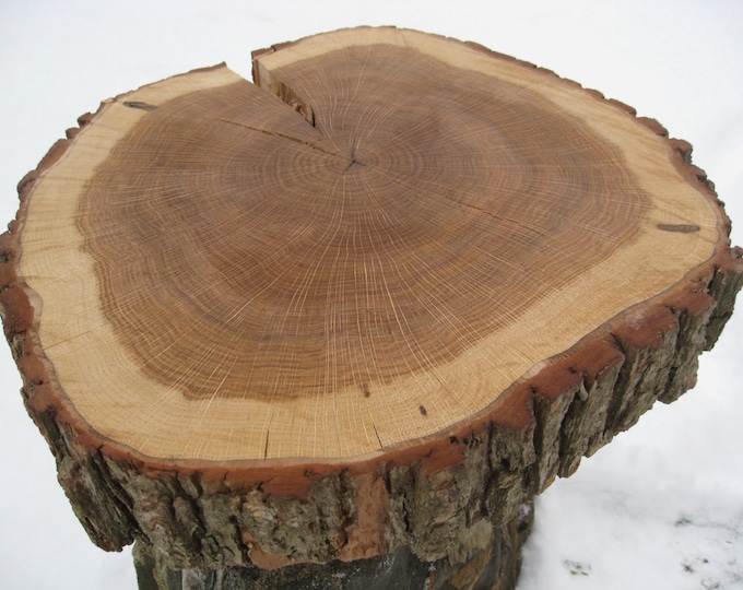HUGE Rustic Cake Stand With Bark, Hickory Wood. Weddings, Showers, Etc ...