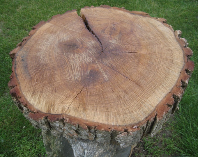 HUGE Rustic Cake Stand With Bark, Hickory Wood. Weddings, Showers, Etc ...