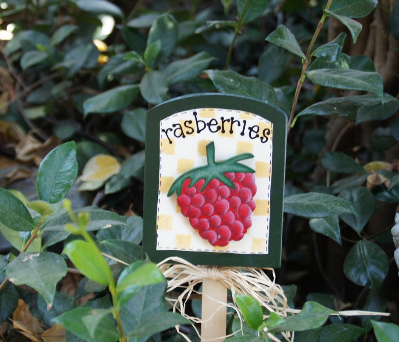 Raspberry Plant Sign Wood Garden Sign - Etsy