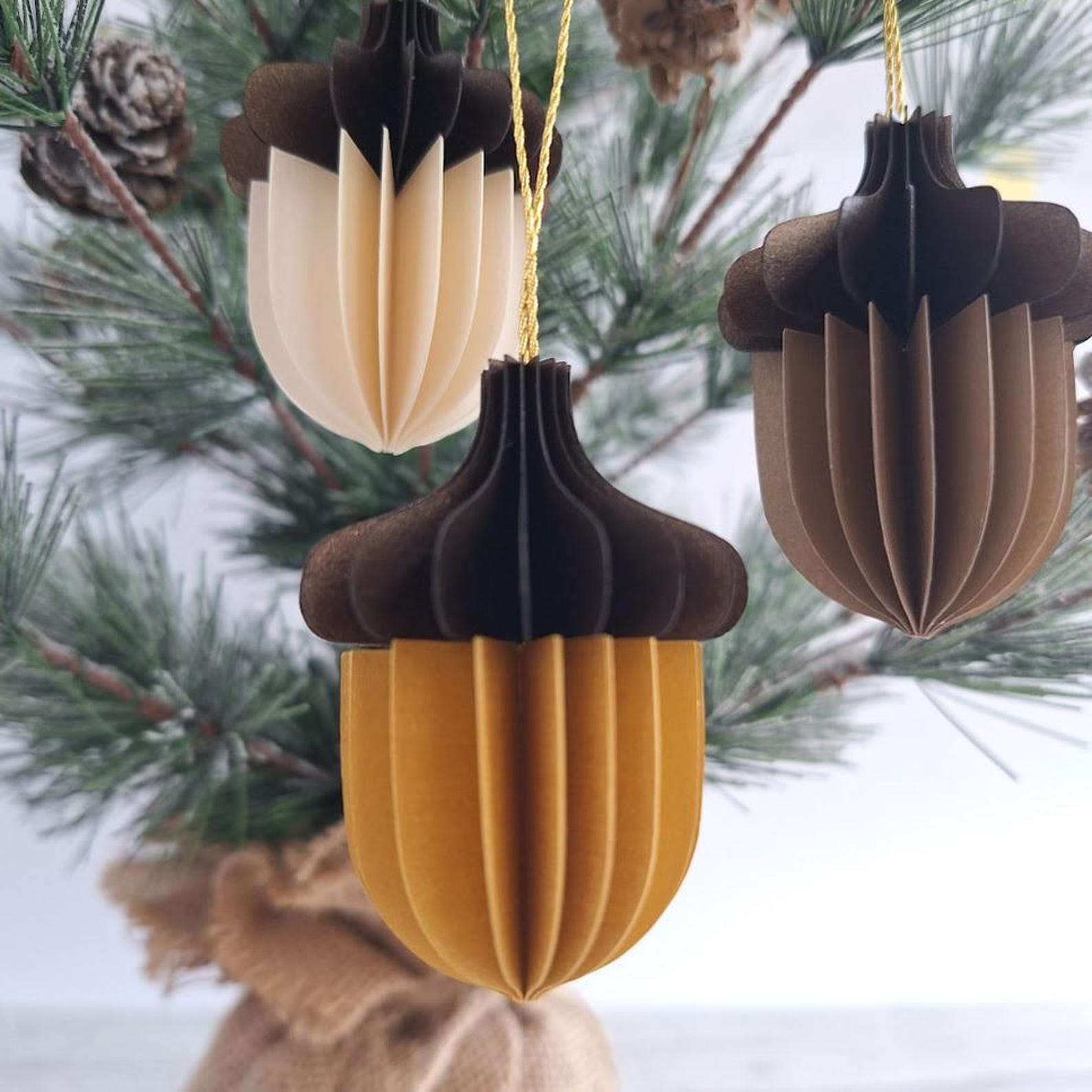 3D Paper Acorn & Oak Leaves Template: DIY Woodland Decor (SVG) - Etsy