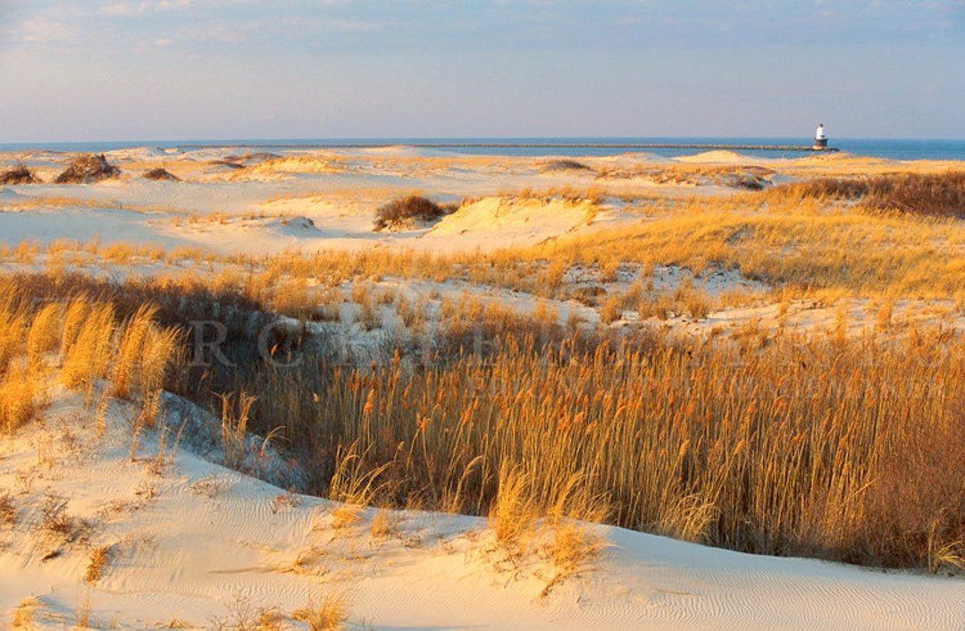 Cape Henlopen Delaware Beach Dunes With Lighthouse in the Winter - Etsy ...