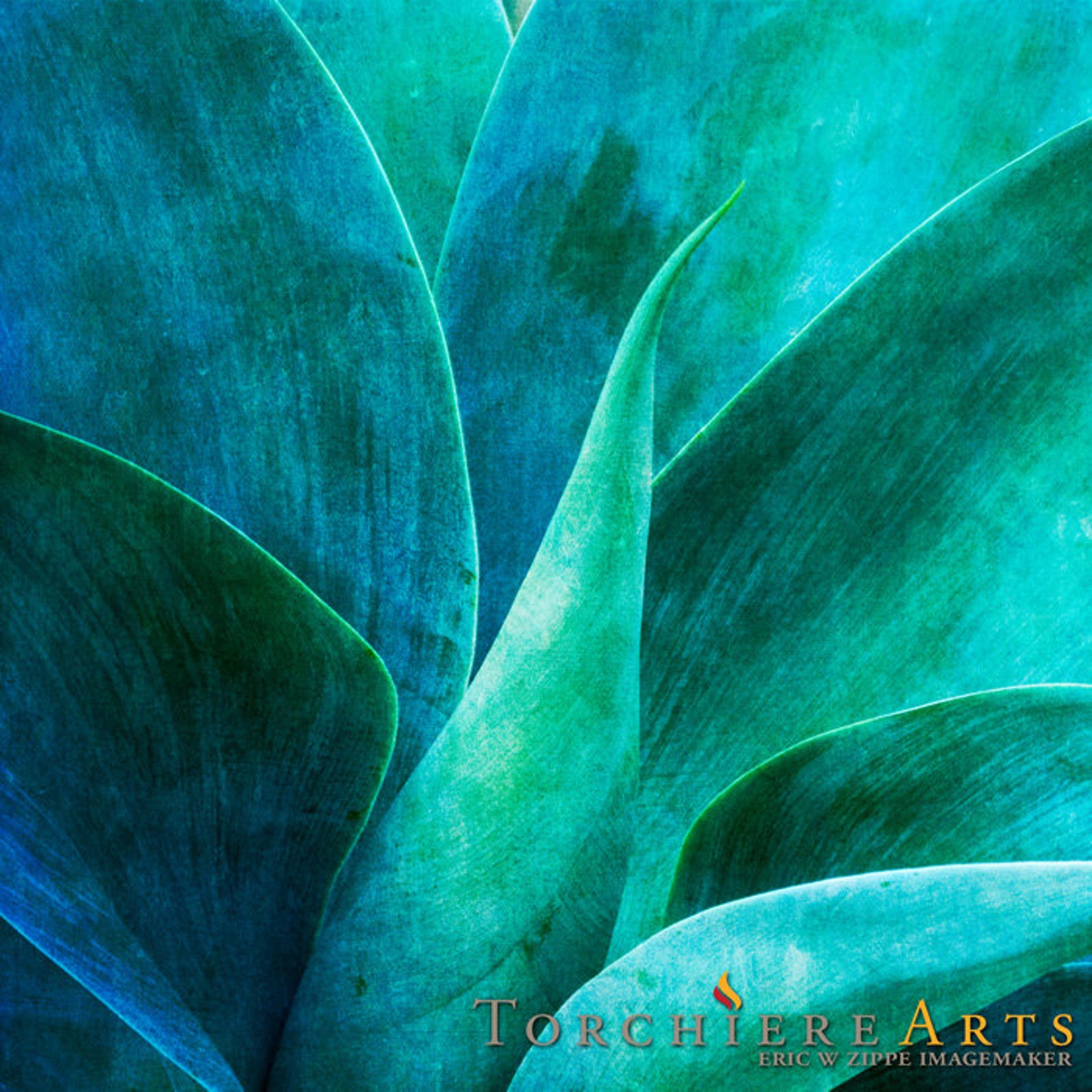Blue Agave Art, Southwest Art, Aqua Wall Art, Teal Art, Cactus ...