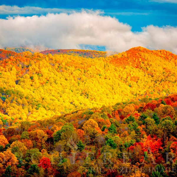 Virginia Landscape - Etsy