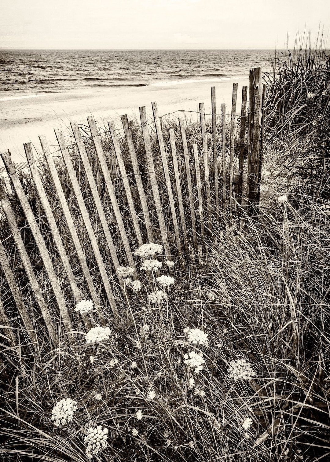 Vintage Style Herring Point at Cape Henlopen Lewes Delaware Photograph ...