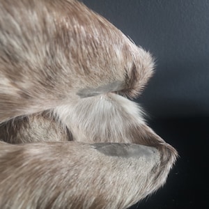 Vintage Laplander Saami Boots Reindeer Fur Boots Real Fur Boots ...