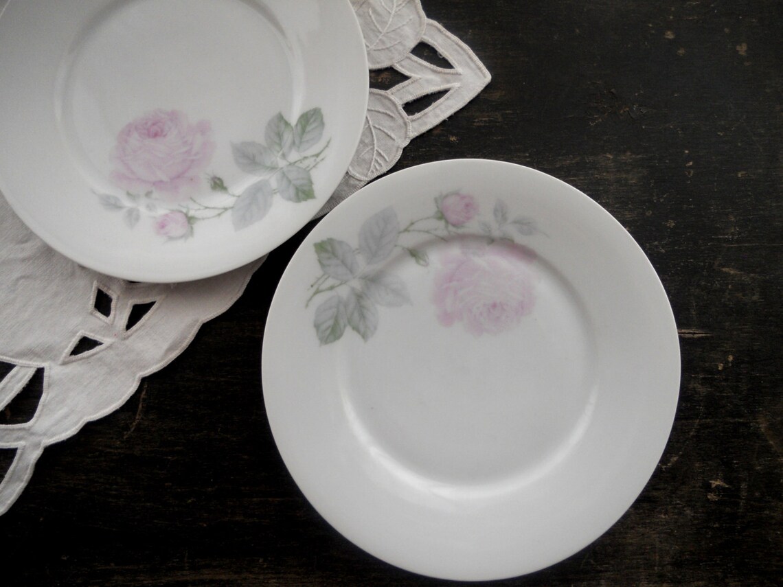 Vintage Plate Set of 2 Pink Roses plates by HJG BAVARIA German | Etsy