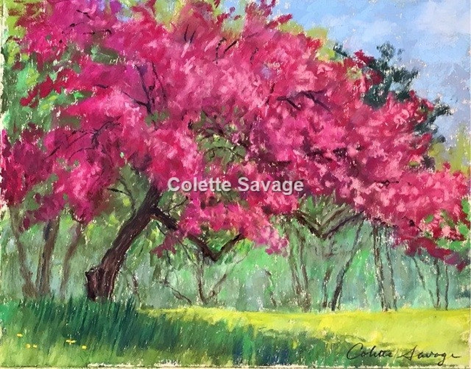 Flowering Crabapple Tree - Original Art Pastel Painting by Colette ...