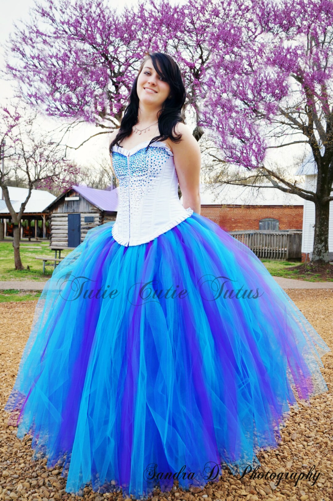 Formal Prom Tutu Dress Corset Top - Etsy