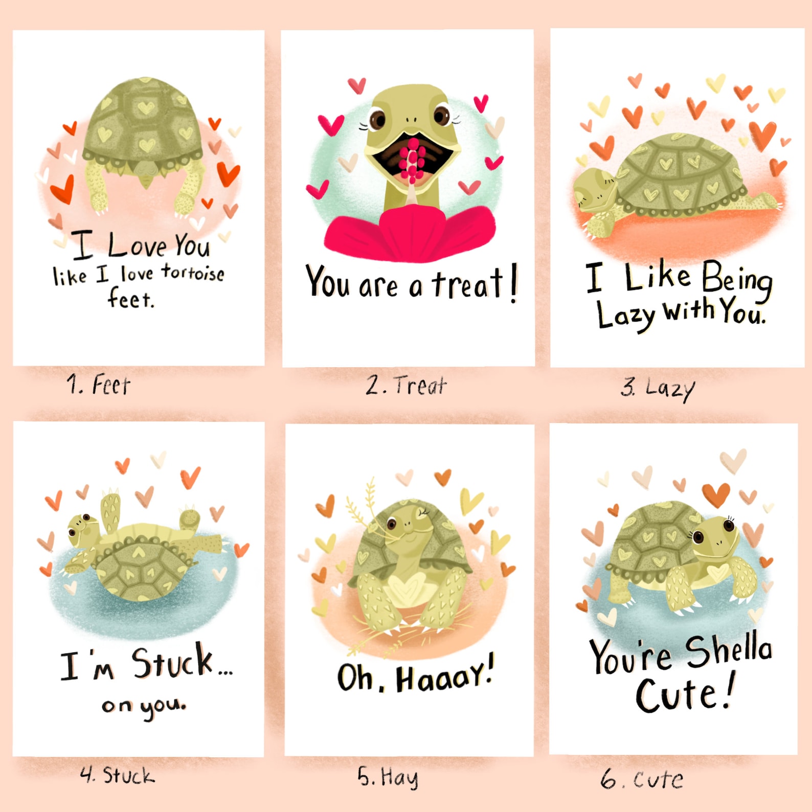 Mix Pack Tortoise Valentines Cards 6 or 12 - Etsy