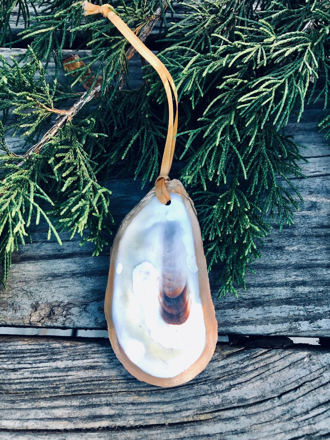 Oyster Shell Ornament| Flat Side Oyster Shell |edging Gold Leaf Paint ...