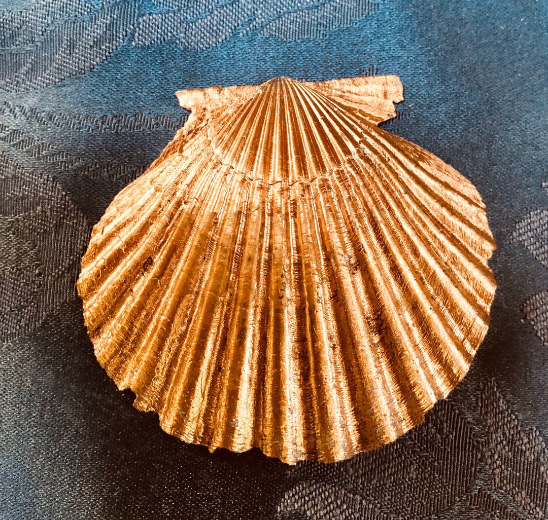 Scallop Shell| Shell Dish| GOLD Leaf Paint With Natural Interior| 2.5 ...