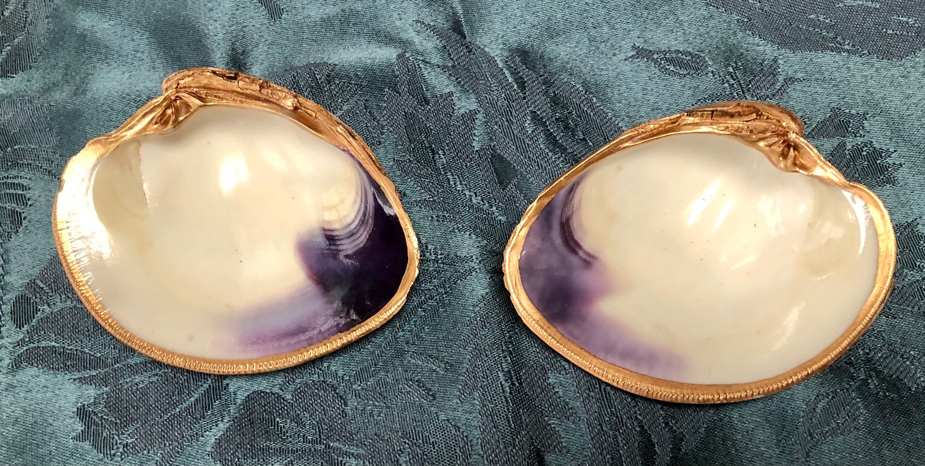 Gilded “wampum” Clam Shell | Wampum Clam Shell | Ring Dish | Trinket ...