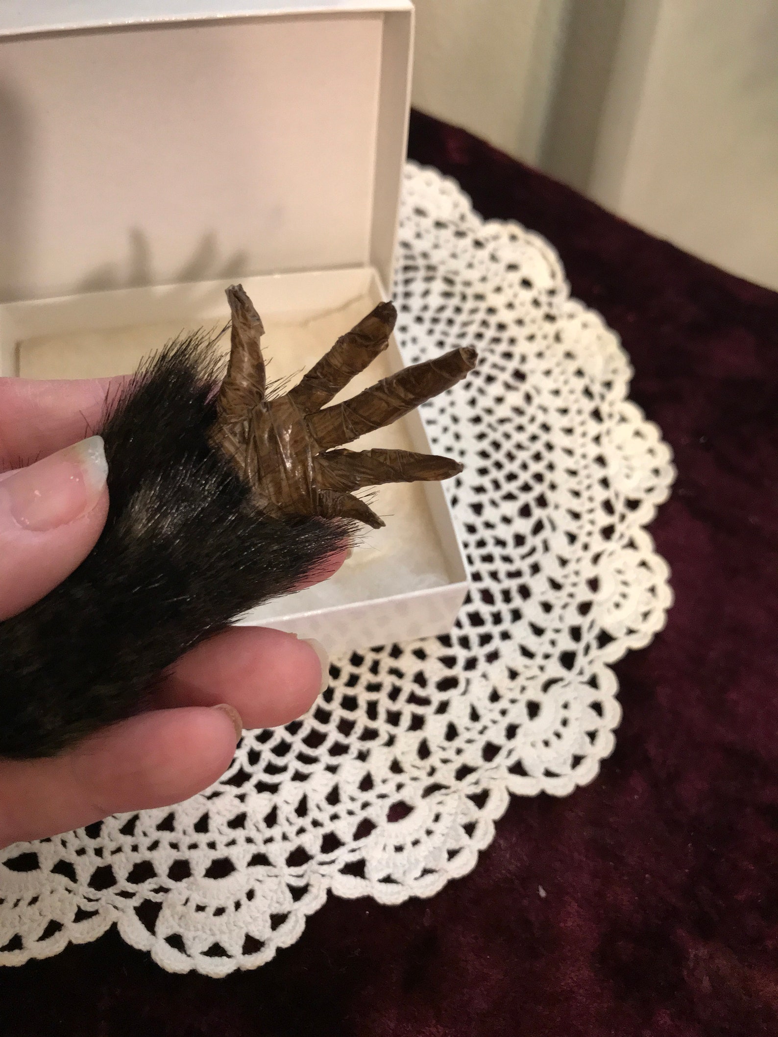 Monkeys Paw Replica | Etsy