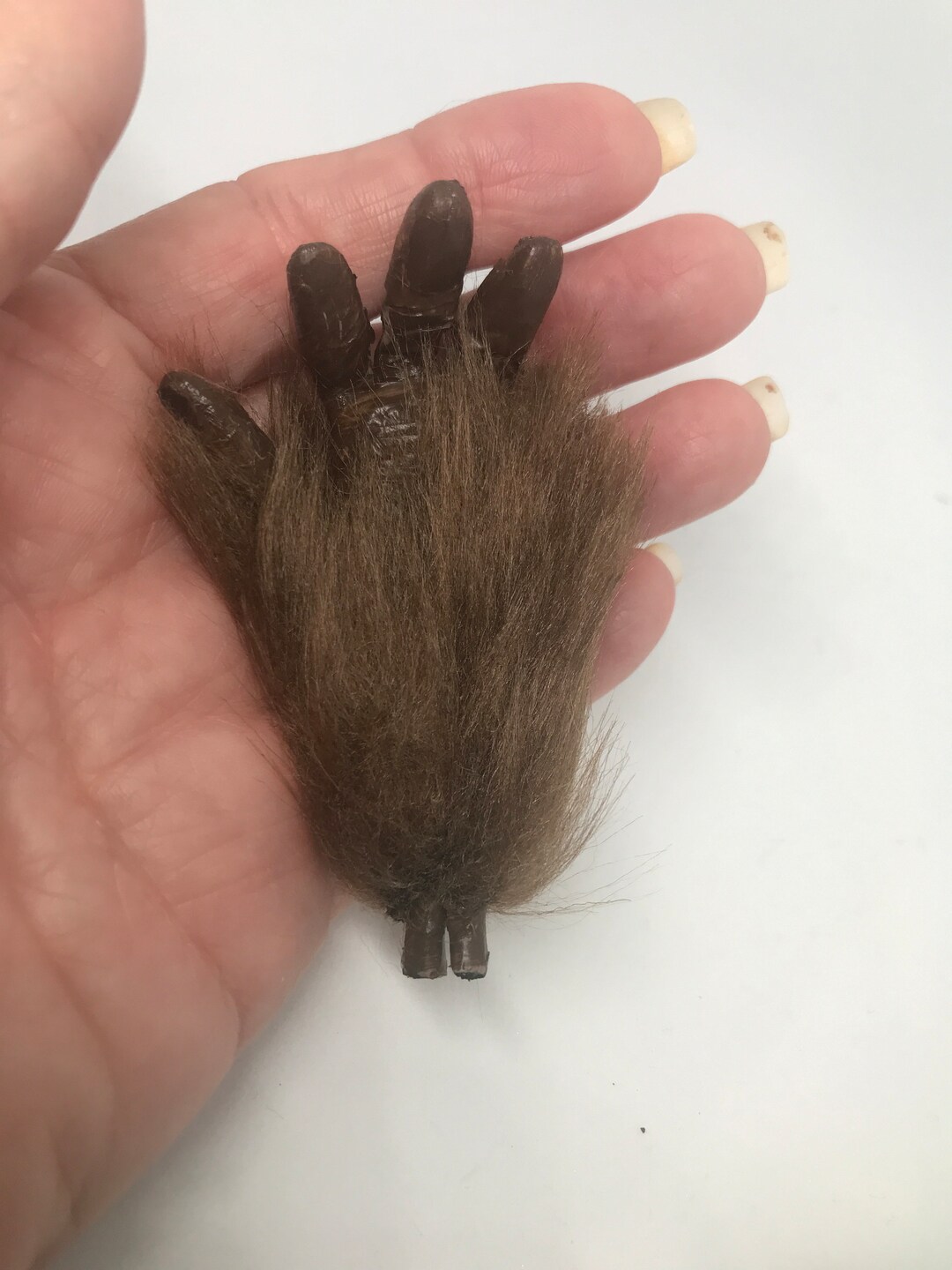 Monkeys Paw Replica - Etsy