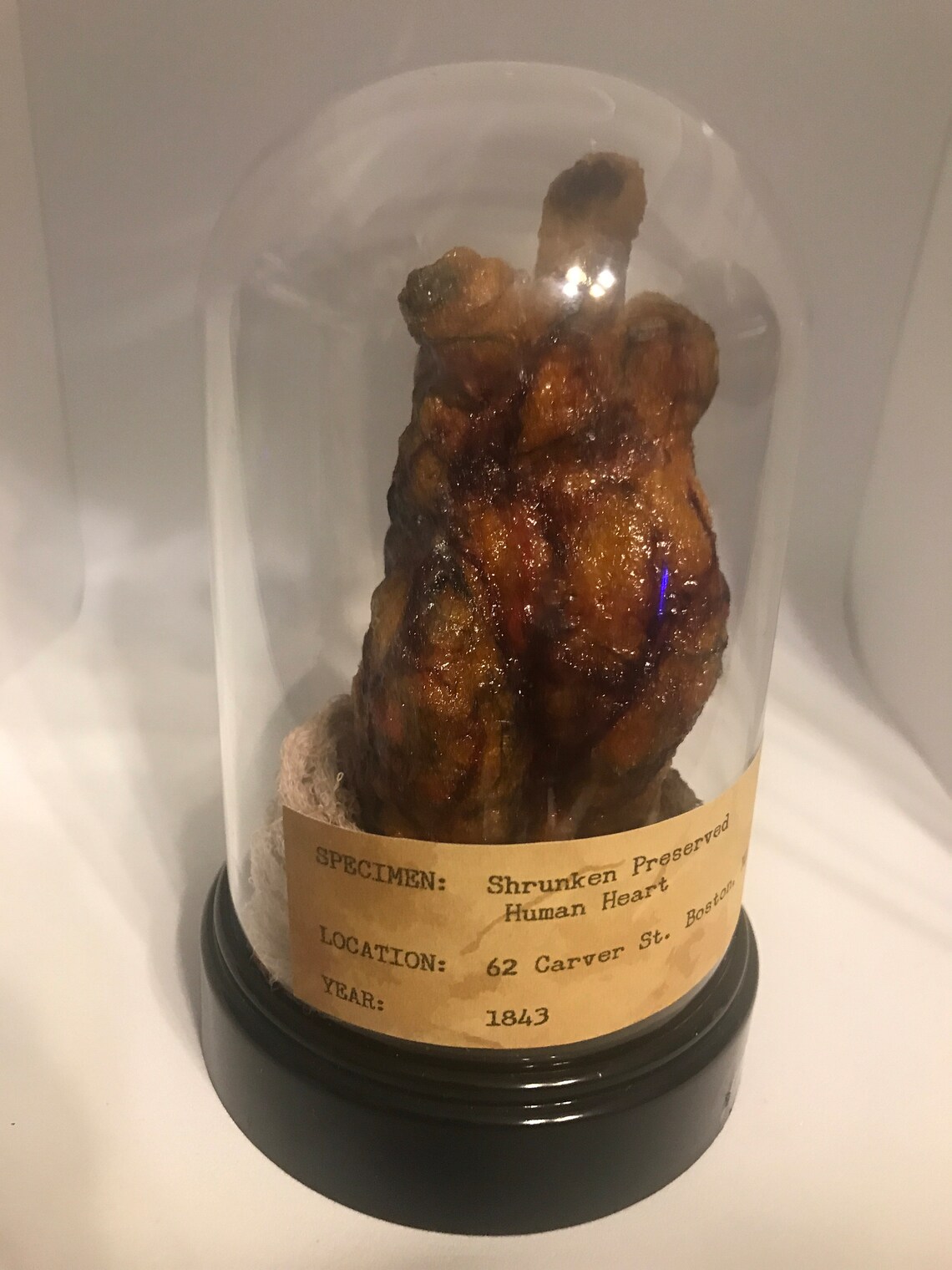 Shrunken Preserved Human Heart Replica - Etsy