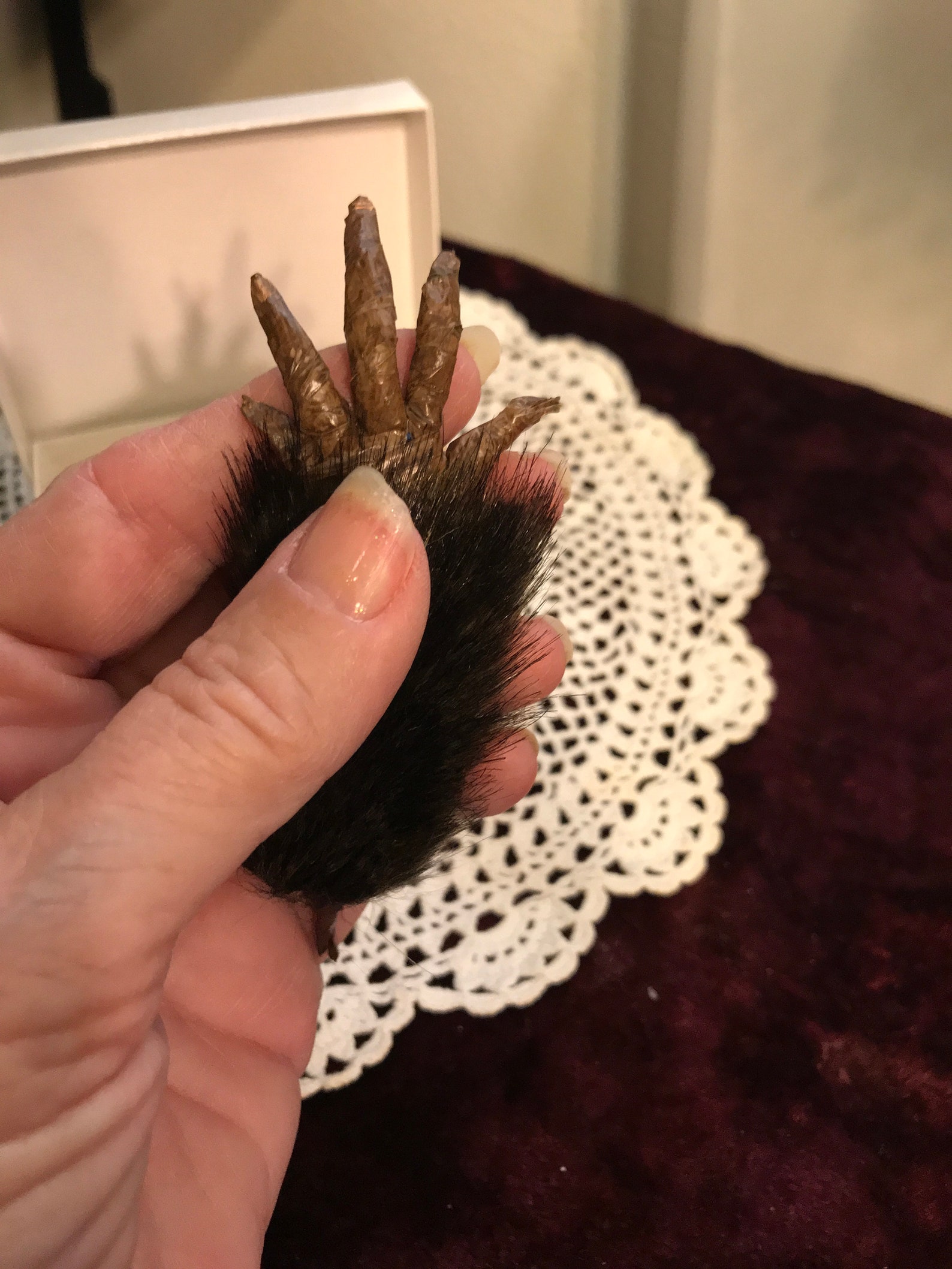 Monkeys Paw Replica | Etsy