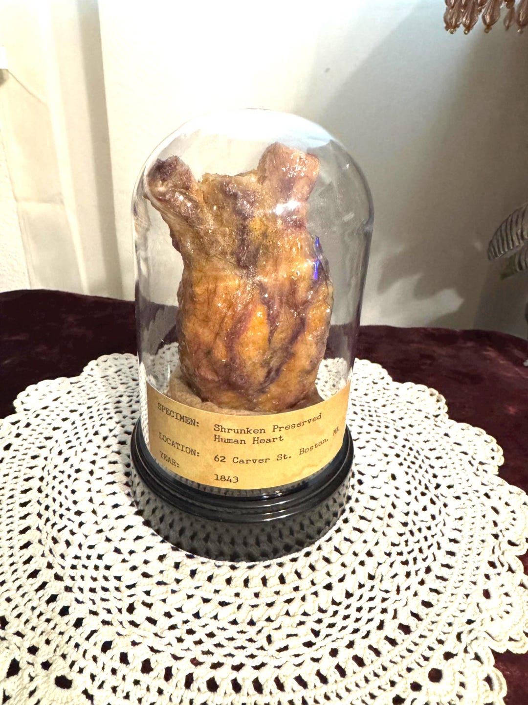 Shrunken Preserved Human Heart Replica - Etsy