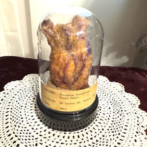Shrunken Preserved Human Heart Replica - Etsy