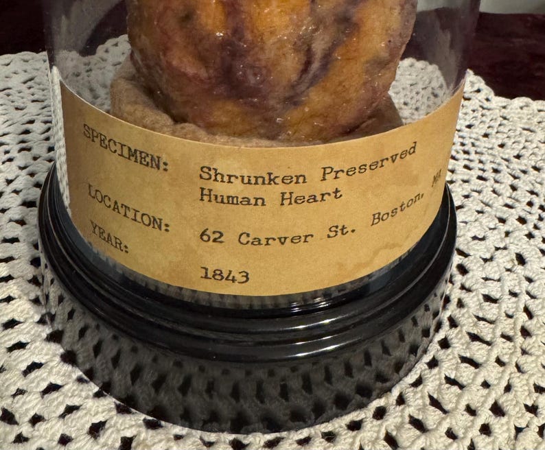 Shrunken Preserved Human Heart Replica - Etsy