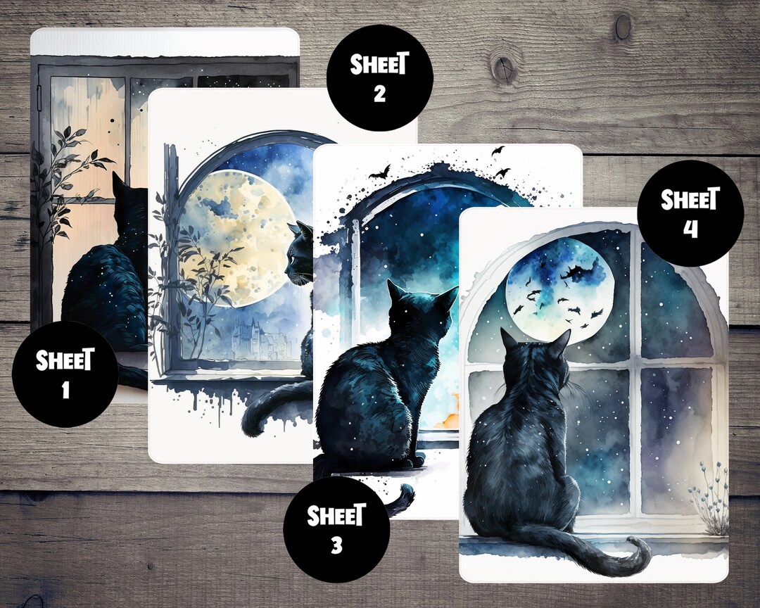 Black Cat in the Night Planner Dashboard | A5, B6 and Personal Planner ...