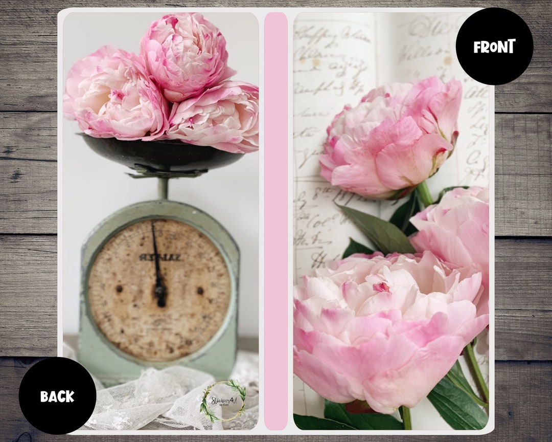Season Peony Small Vinyl Sticker Album | Die Cuts Storage | Holographic ...