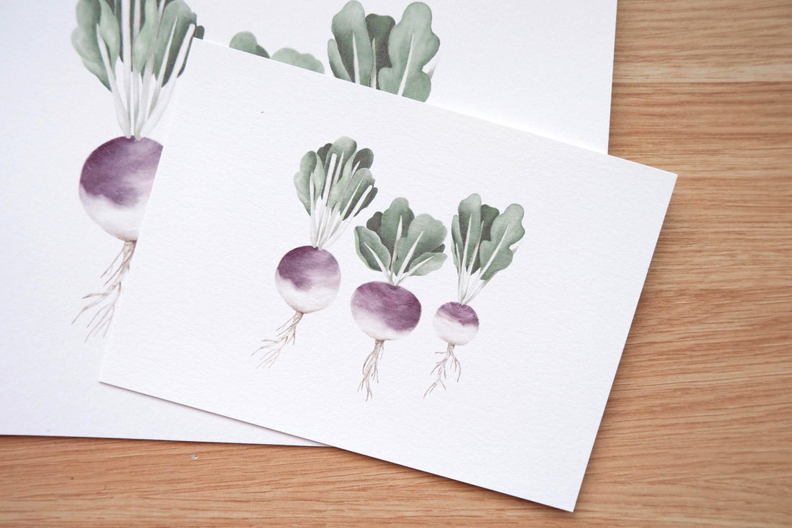 Turnip Trio Art Print / Vegetable Art Print / Turnip Art Print / Food ...