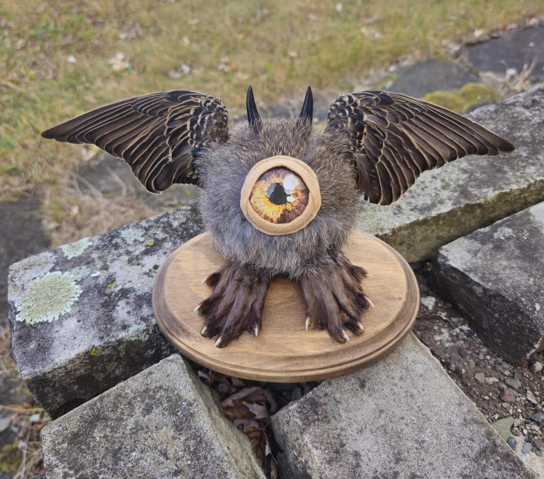 Flying Fantasy Taxidermy. Optopod. Funny Taxidermy. Cute Taxidermy. - Etsy