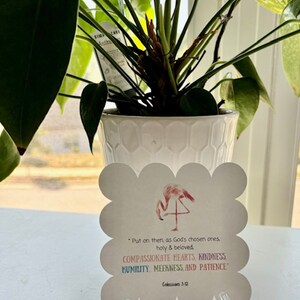 God Wink Cards (teacher Version) - Etsy