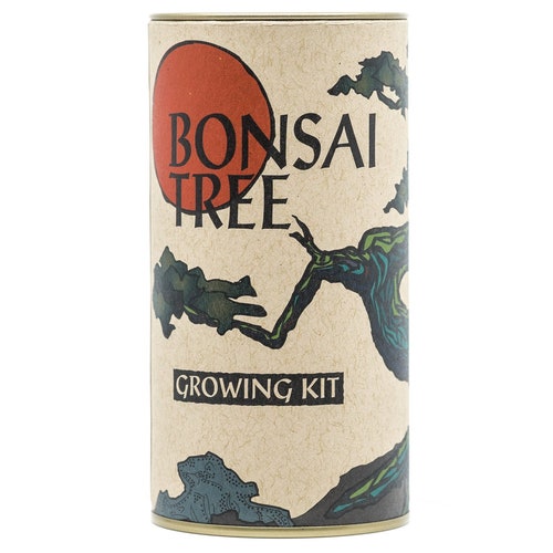 Giant Sequoia Tree Seed Grow Kit the Jonsteen Company - Etsy