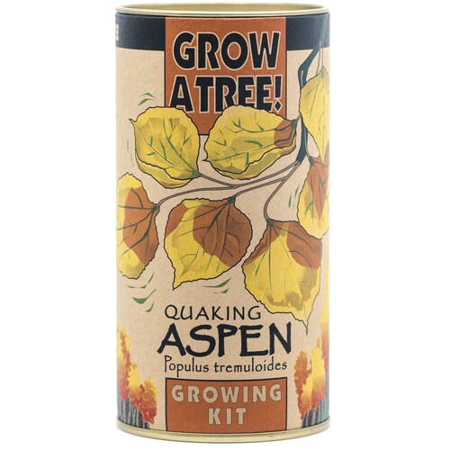 Coast Redwood Tree Seed Grow Kit the Jonsteen Company - Etsy