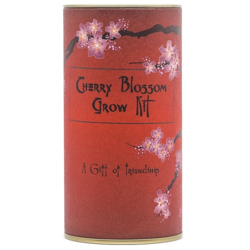 Coast Redwood Tree Seed Grow Kit the Jonsteen Company | Etsy