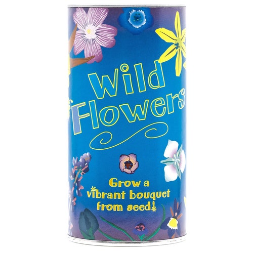 California Poppy Flower Seed Grow Kit the Jonsteen Company - Etsy