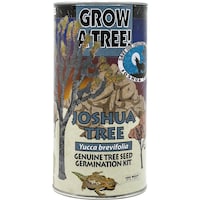 Joshua Tree | Seed Grow Kit | the Jonsteen Company - Etsy