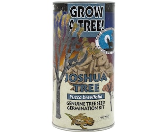 Palm Tree Seed Grow Kit the Jonsteen Company - Etsy