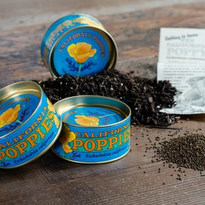 California Poppy | Flower Seed Grow Kit | the Jonsteen Company - Etsy