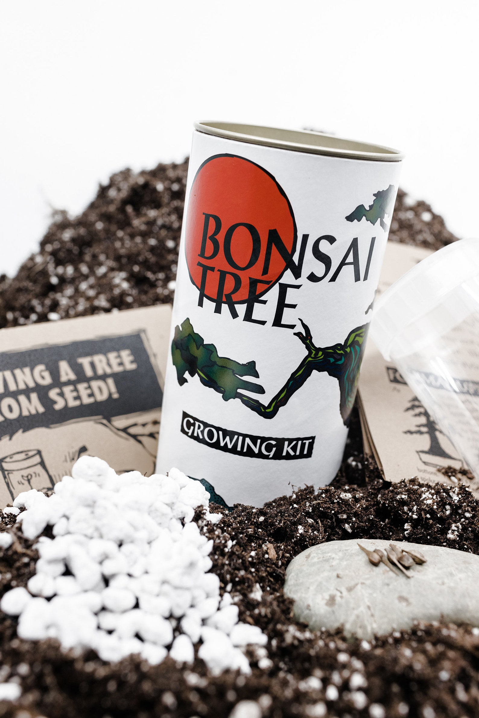 Bonsai Grow Kit White Design the Jonsteen Company - Etsy