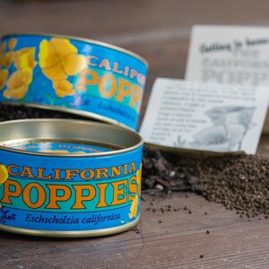 California Poppy | Flower Seed Grow Kit | the Jonsteen Company - Etsy